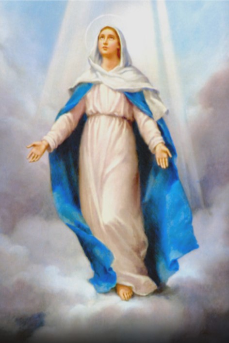 Santini Prayer Cards - Belinda Jane Video